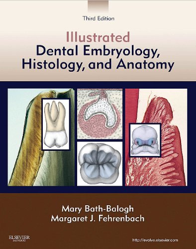 Illustrated Dental Embryology, Histology, and Anatomy, Author: Mary ...